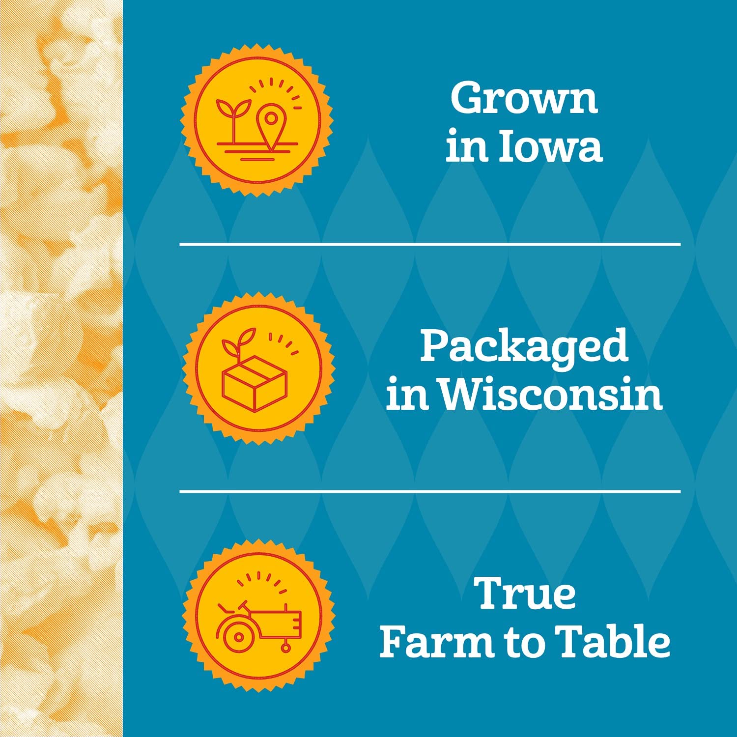 The Big Picture - Popcorn Maker + Popcorn Bundle – Franklin's Gourmet ...