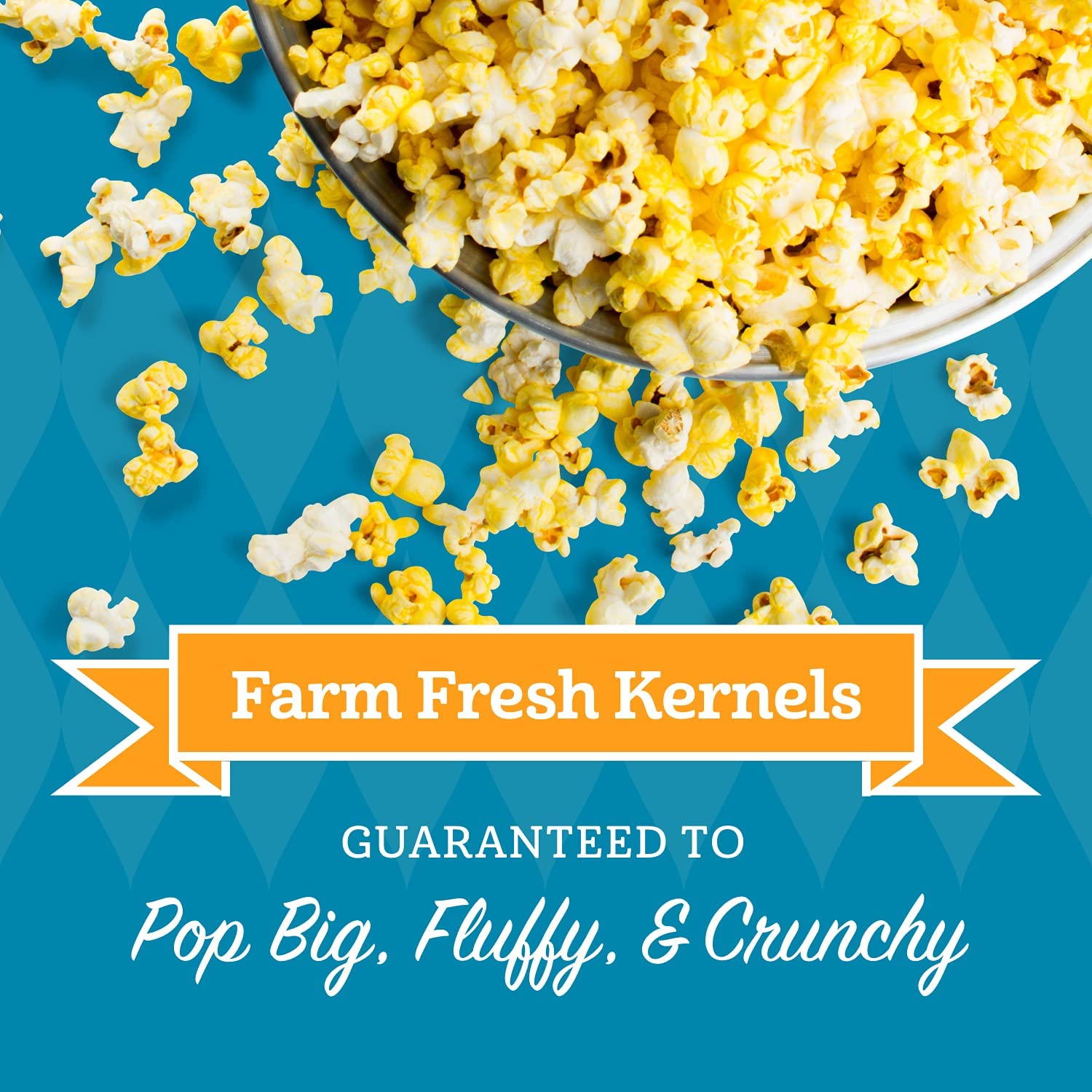 The Big Picture - Popcorn Maker + Popcorn Bundle – Franklin's Gourmet ...